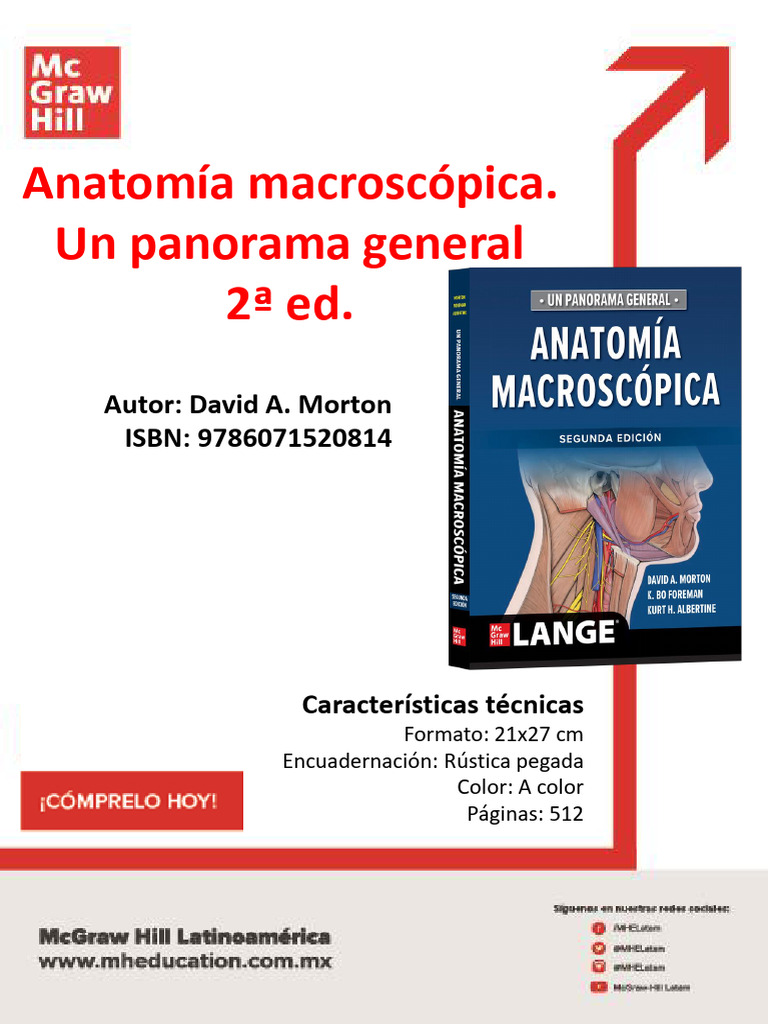 NBI Morton. Anatomía Macroscópica | PDF | Abdomen | Anatomía