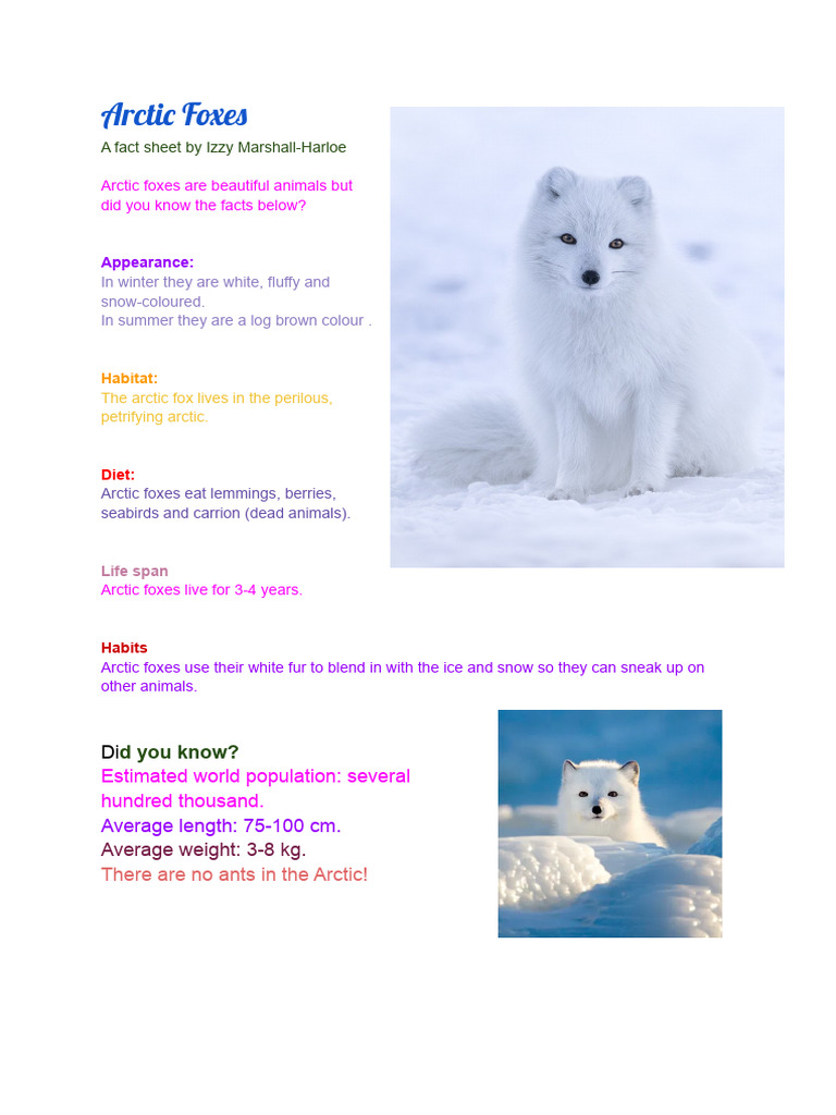 Arctic Foxes | PDF