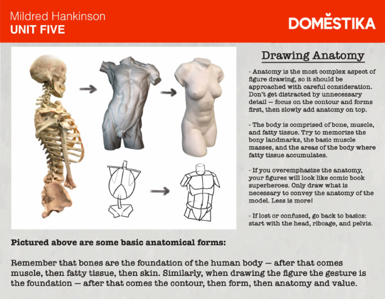 U5 01 Drawing Anatomy | PDF
