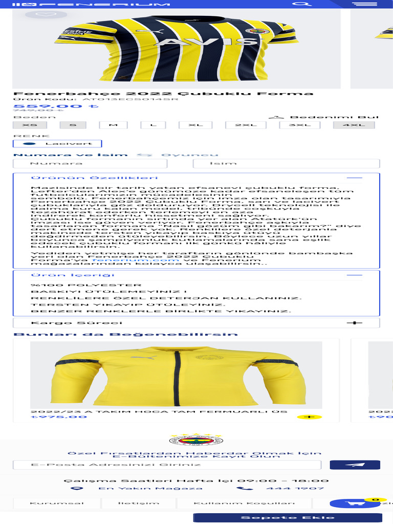 Fenerium Fenerbahçe 2022 Çubuklu Forma | PDF