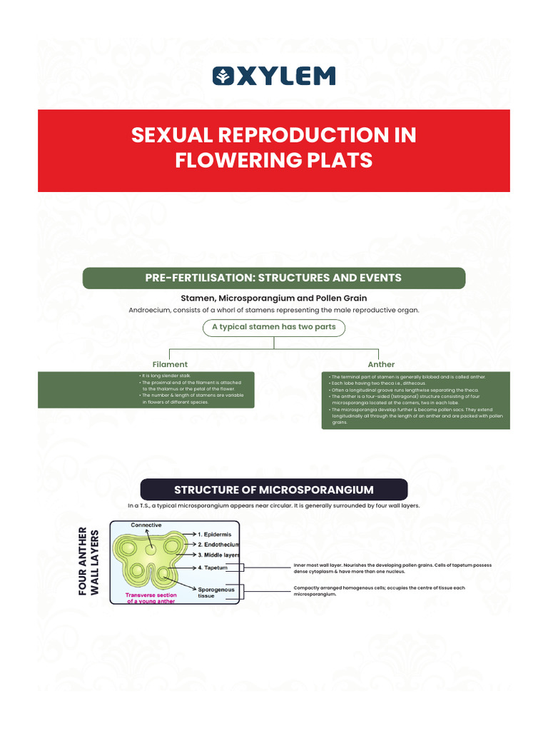 Sexual Reproduction in Flowering Plants - Mind Map - PDF | PDF ...