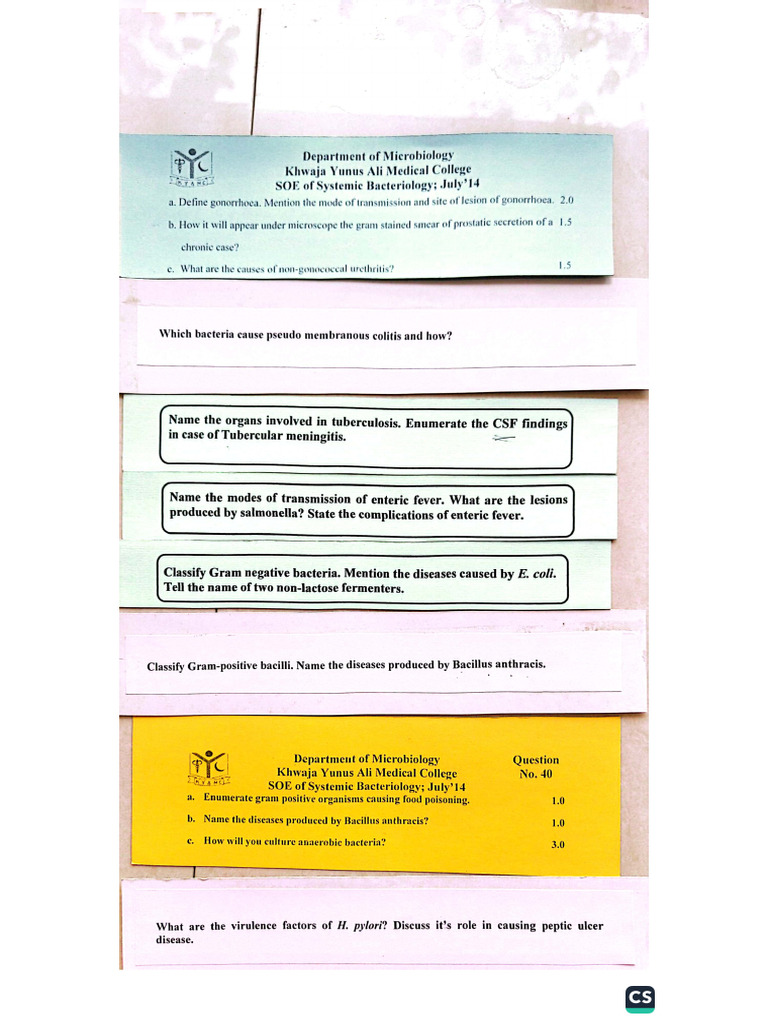 Systemic Bacteriology | PDF