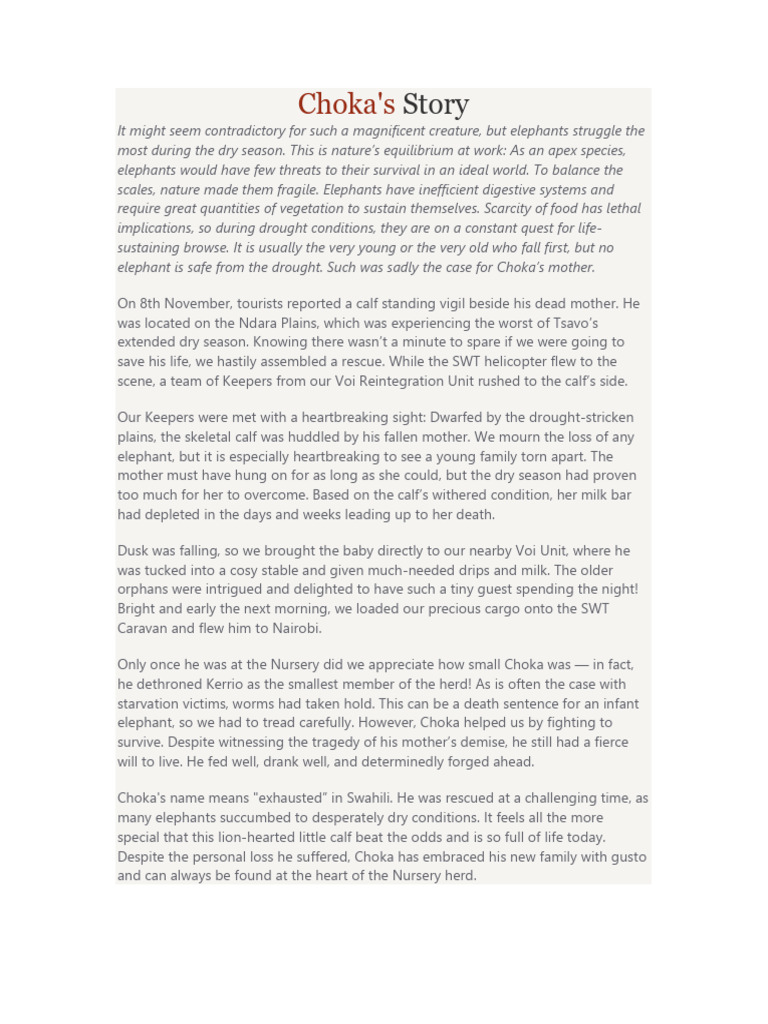 Choka Story | PDF