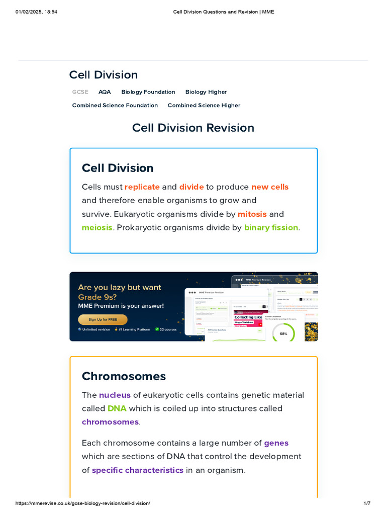 Cell Division Questions and Revision - MME | PDF | Cell (Biology) | Mitosis