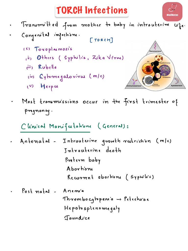 3. TORCH Infections | PDF | Microbiology | Clinical Medicine