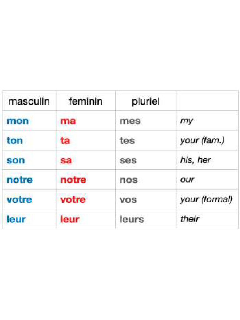 Adjectif Possessif | PDF