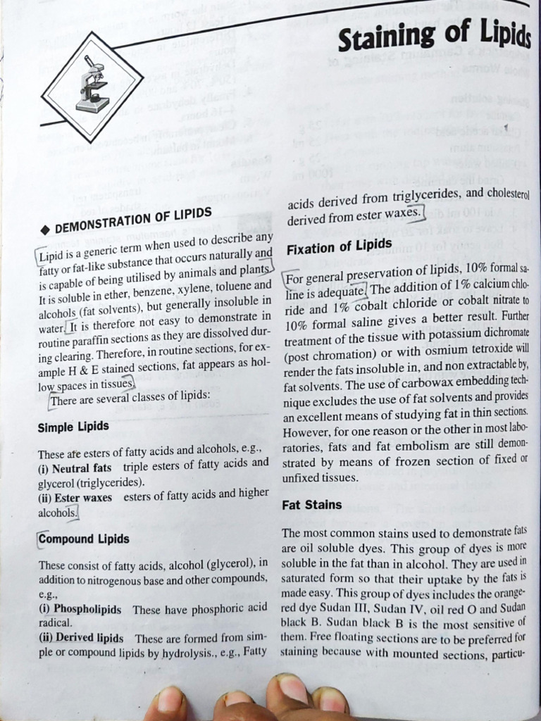 Staining of Lipid | PDF