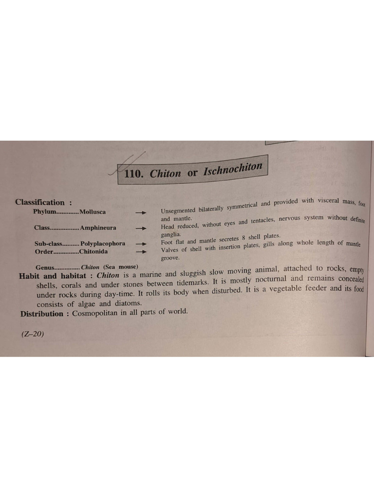 Zoology Lab Notes (SM Sir) (25-Nov-2024) | PDF
