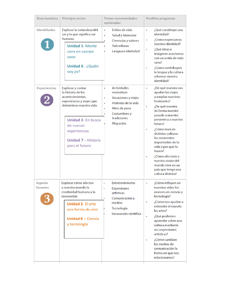 1 - Temas, Áreas y Preguntas - Del Manual IB | PDF