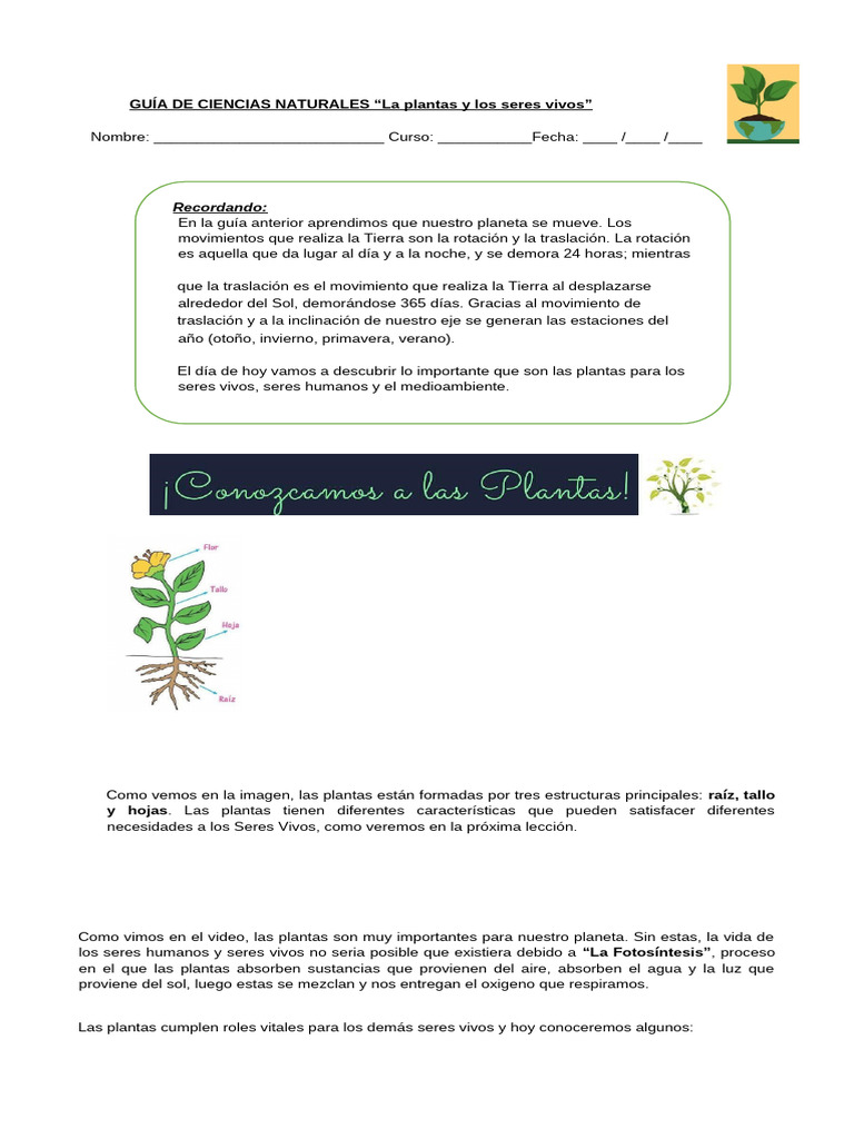Guía Las Plantas Ciencias Naturales | PDF | Plantas | Movimiento ...