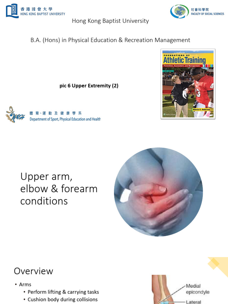 6 Upper Extremity - 2 - 24-25 - T | PDF | Elbow | Anatomical Terms Of ...