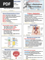 Checklist RLE IFC | PDF | Catheter | Medical Specialties
