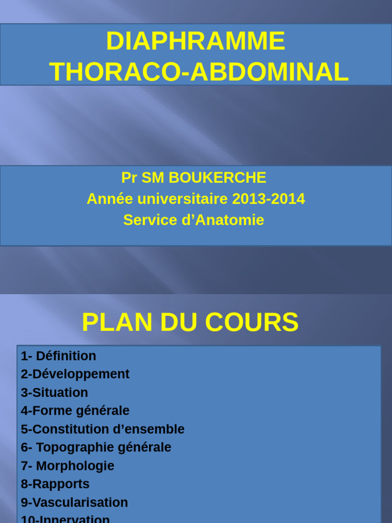 Anatomie et Développement du Diaphragme | PDF | Aorte | Thorax