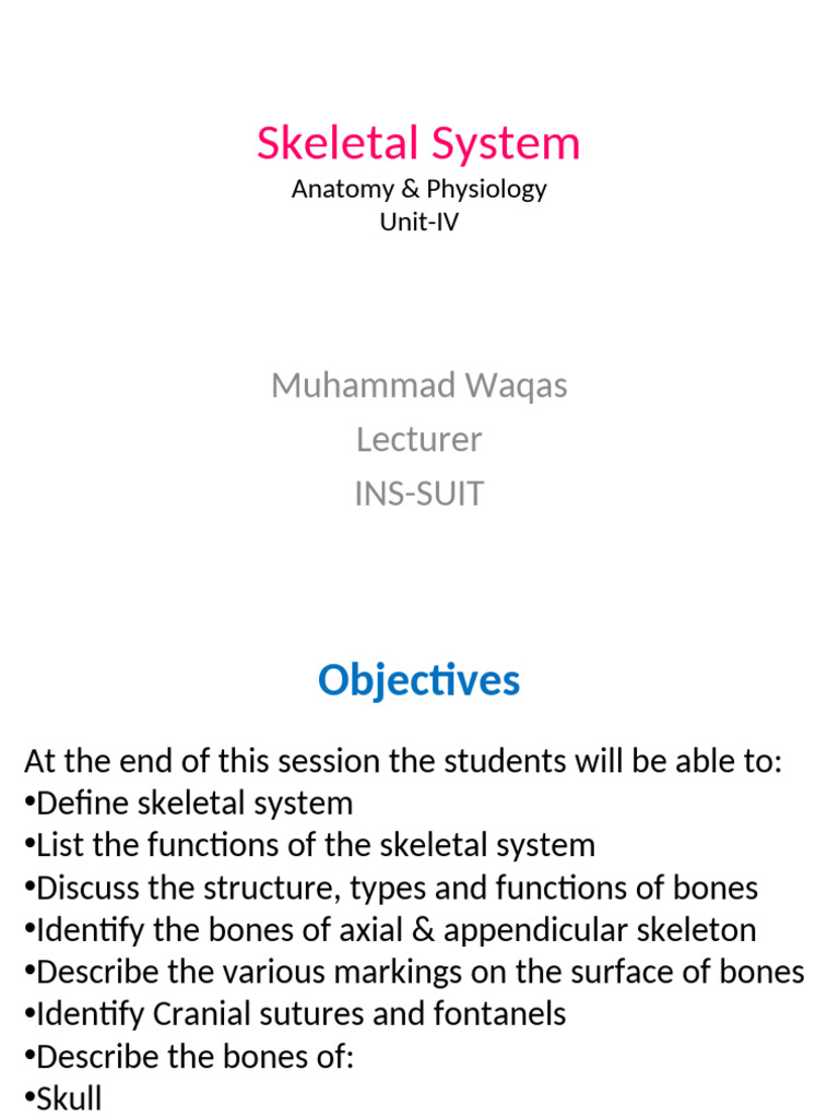 Overview of the Skeletal System | PDF | Human Nose | Skull