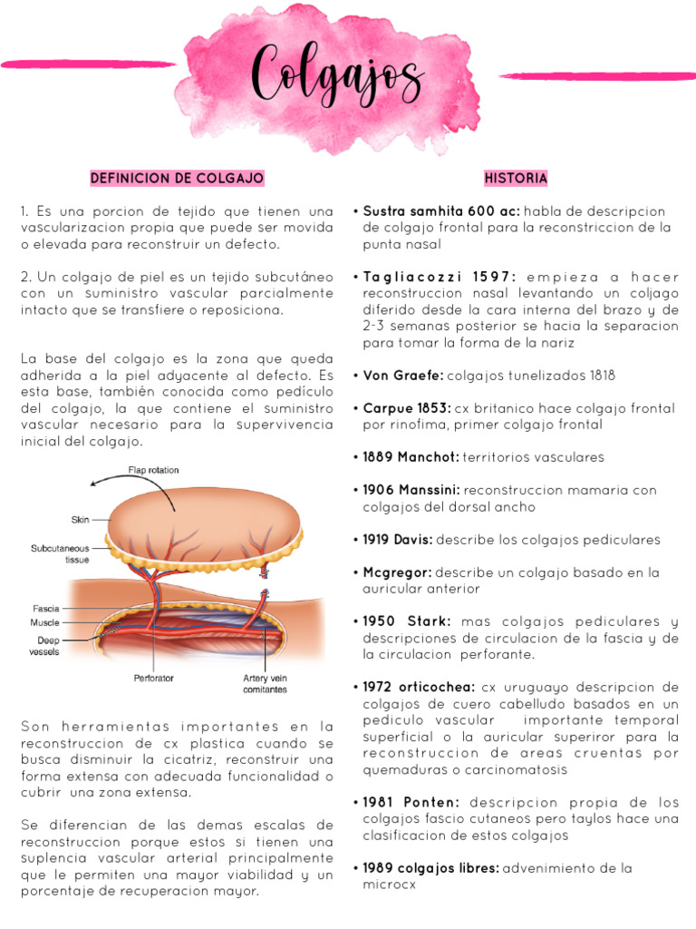 Definición y Clasificación de Colgajos | PDF | Especialidades Medicas ...