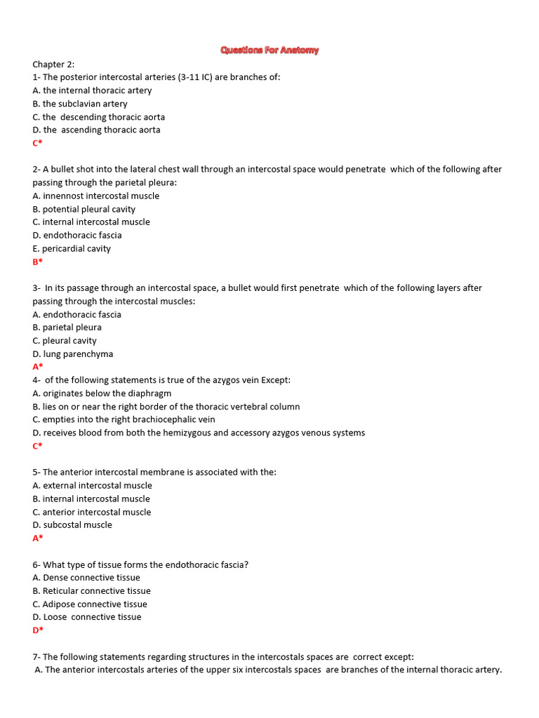 Anatomy Exam Prep Questions | PDF | Thorax | Vertebra