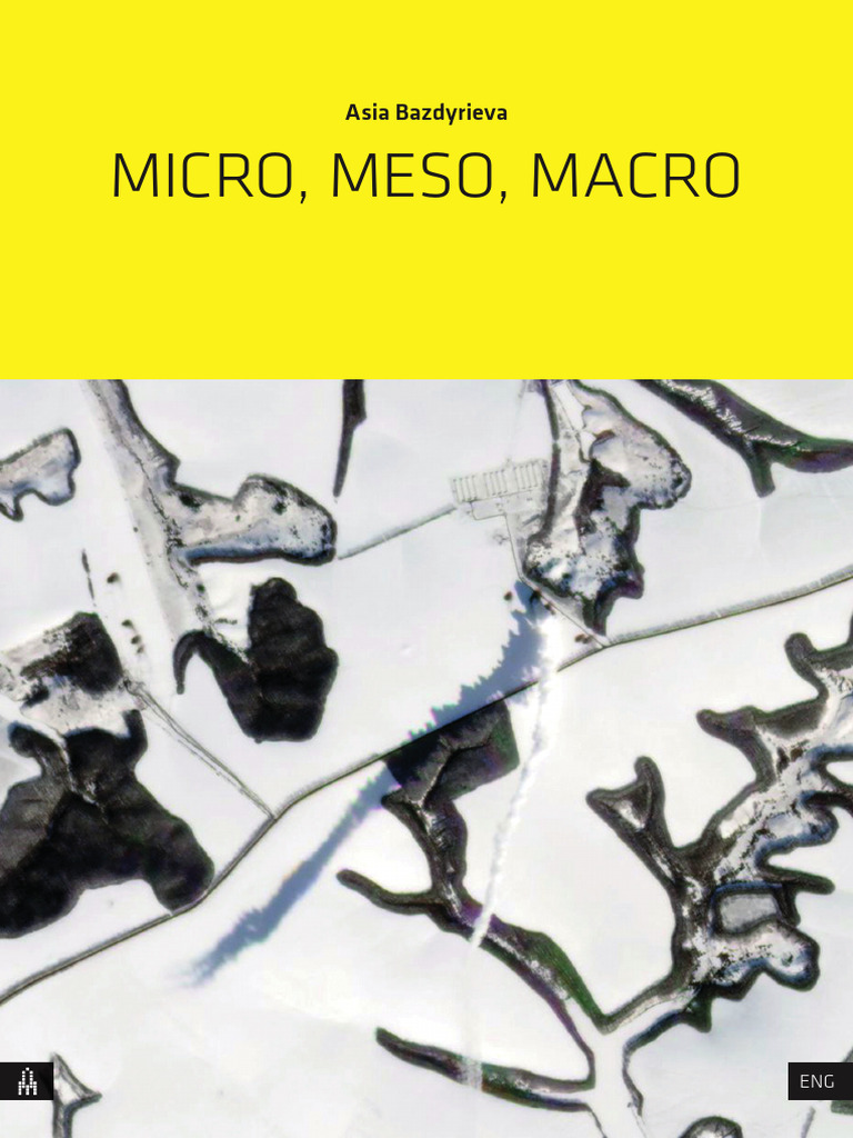 Micro Meso Macro | PDF | Sustainability | Imperialism