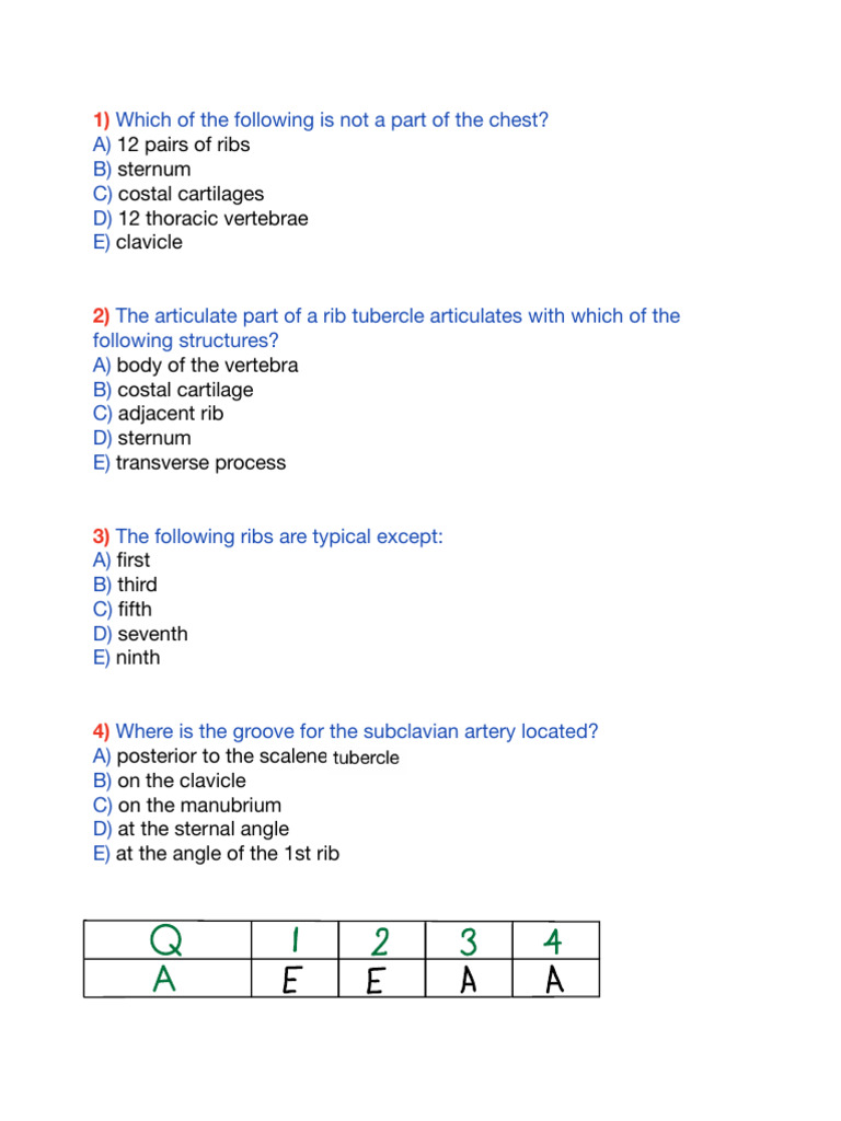 Thorax Quiz | PDF | Thorax (Human Anatomy) | Musculoskeletal System