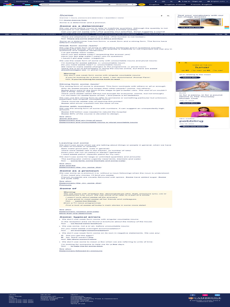 Some - Grammar - Cambridge Dictionary | PDF | Plural | Noun