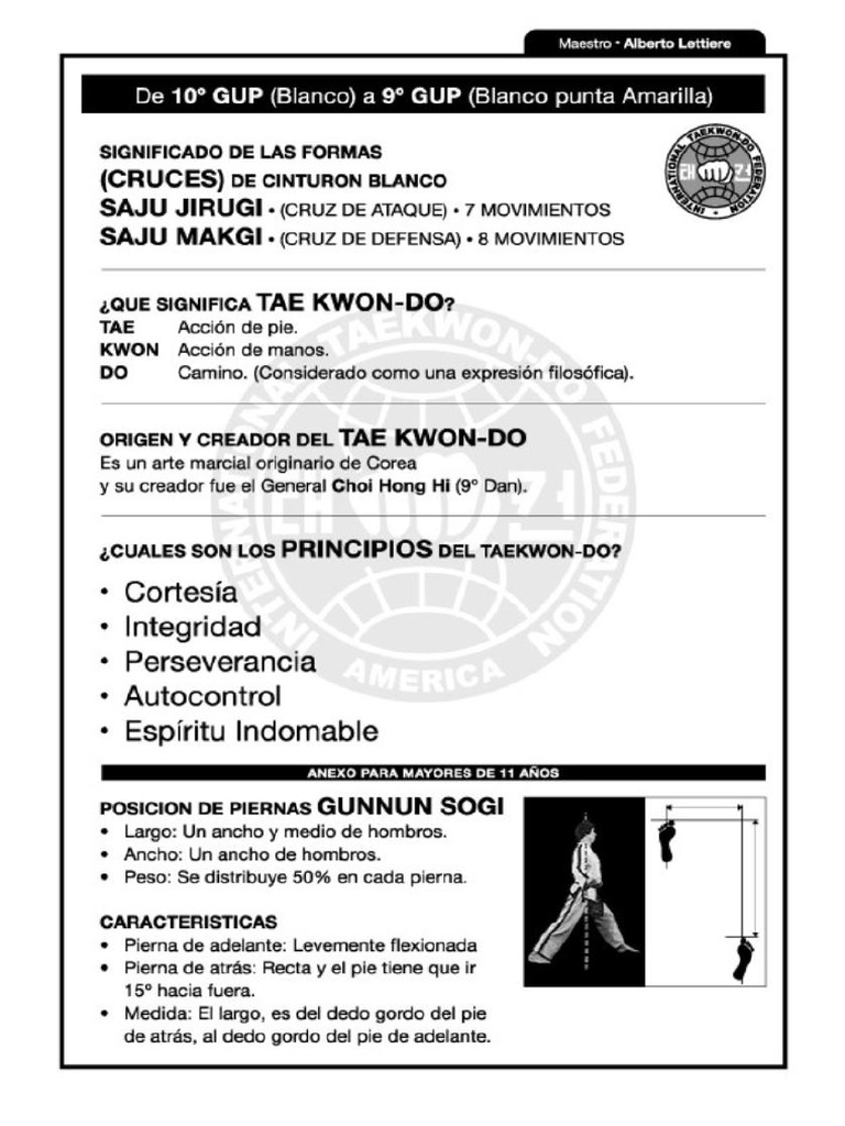 Teoría Taekwondo itf | PDF