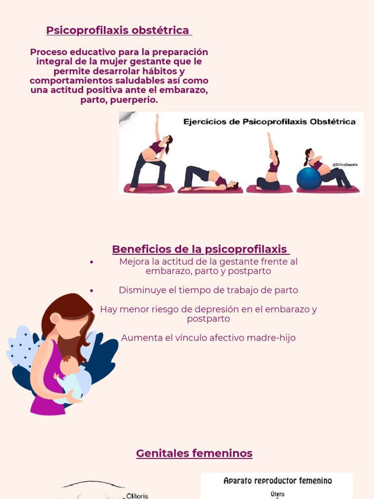 Psicoprofilaxis Obstétrica 20250121 094441 0000 | PDF