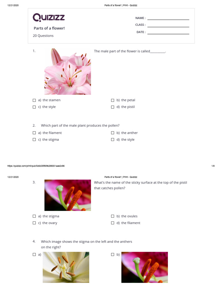 Flower Parts Quiz for Students | PDF | Flowers | Branches Of Botany