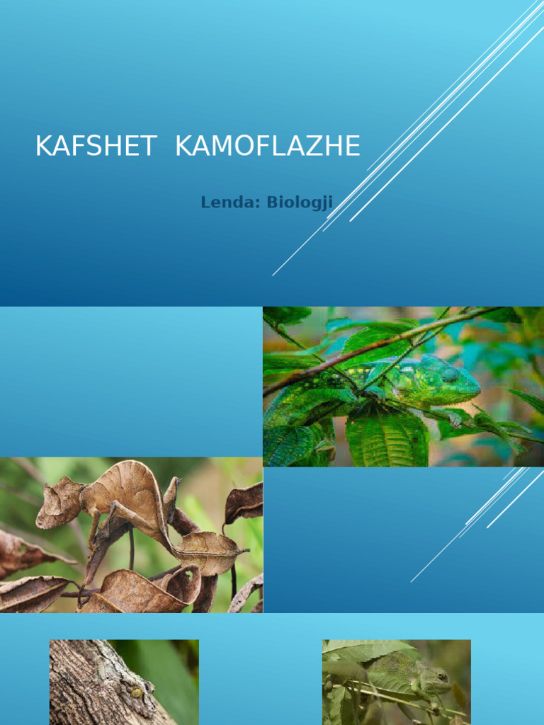 Kafshet Kamoflazhe | PDF