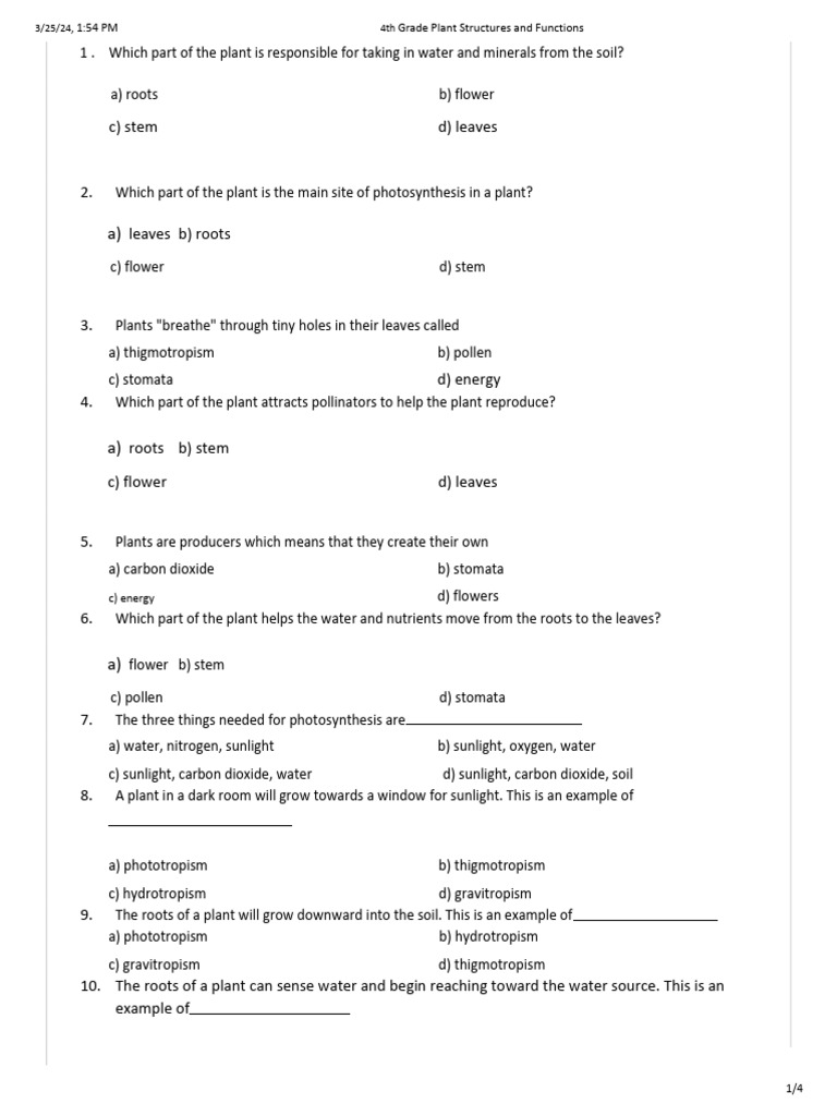4th Grade Plant Structures Quiz | PDF | Plants | Root