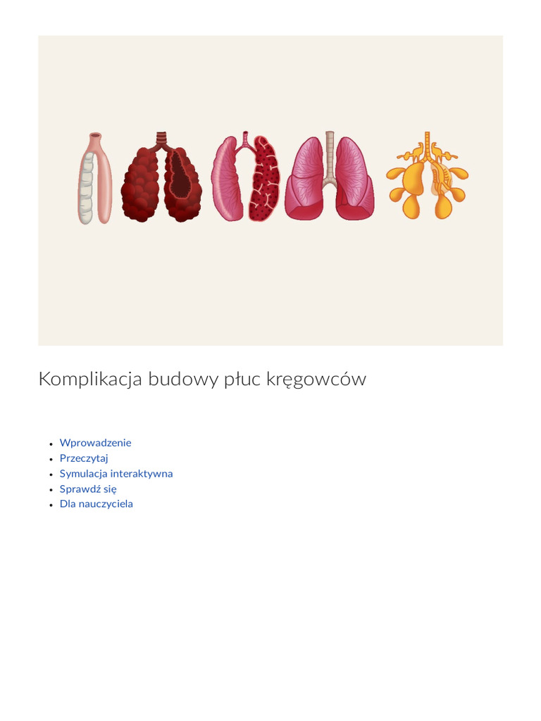 Komplikacja Budowy Pluc Kregowcow | PDF