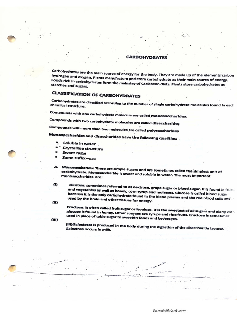 Carbohydrates Handout | PDF