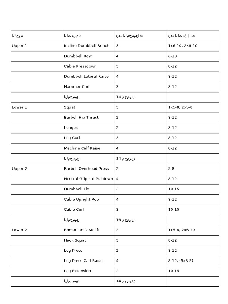DR Swole 5 Day Program Table v2 | PDF | Weight | Physical Exercise