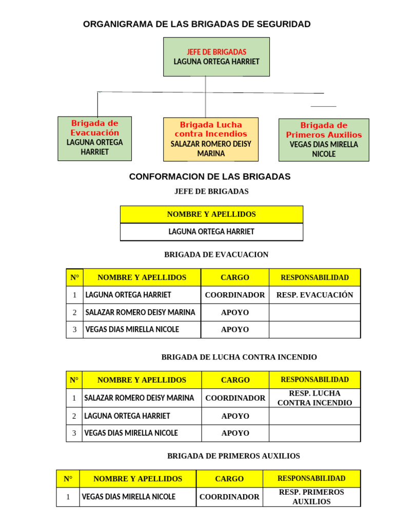 Organigrama Brigadas de Seguridad | PDF