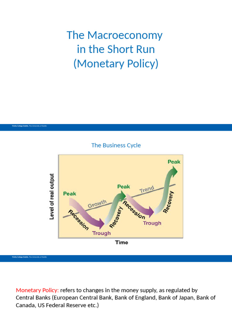 Short-Run Monetary Policy Effects | PDF | Inflation | Interest Rates