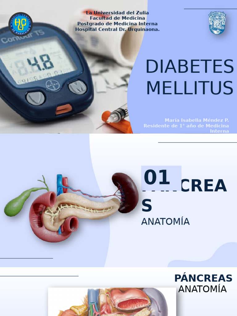 Diabetes Mellitus: Anatomía y Fisiología | PDF | Diabetes | Insulina