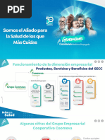 Plan Zafiro Elite - Digital | PDF | Cuidado de la salud | Hospital