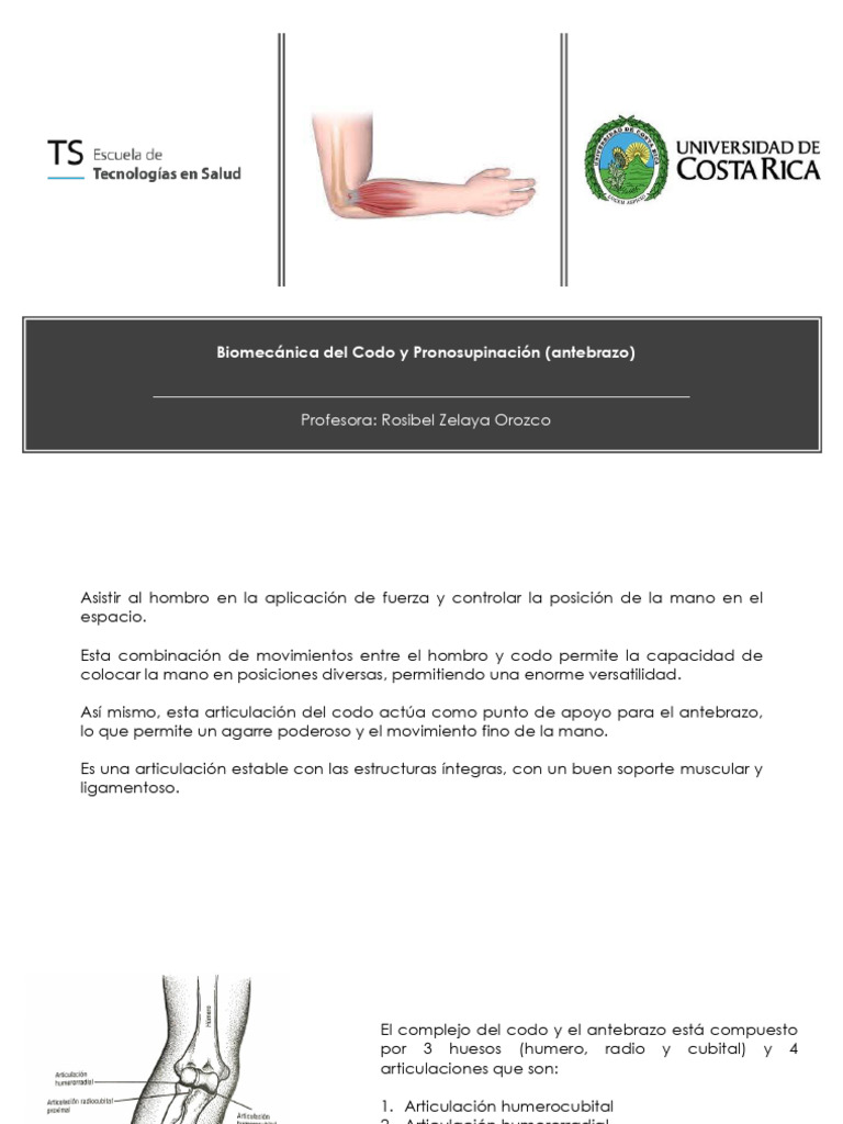 Tema 13 Extremidad Superior Codo y Antebrazo 2024-11-11 13-23-53 | PDF | Codo | Mano