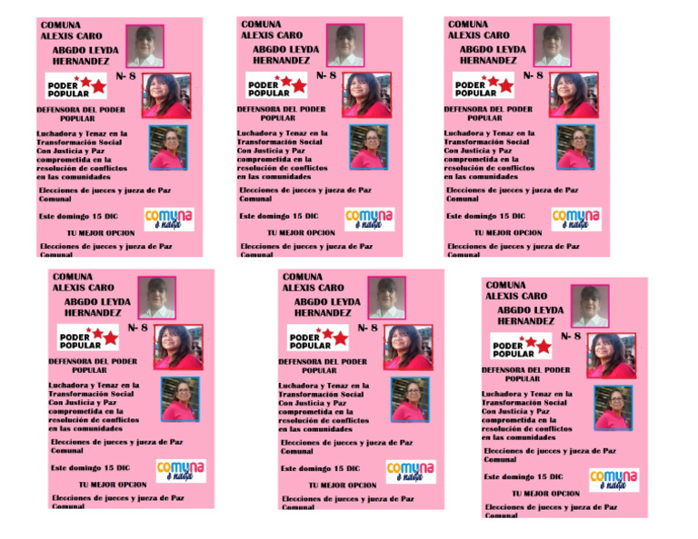 Candidata Leyda | PDF