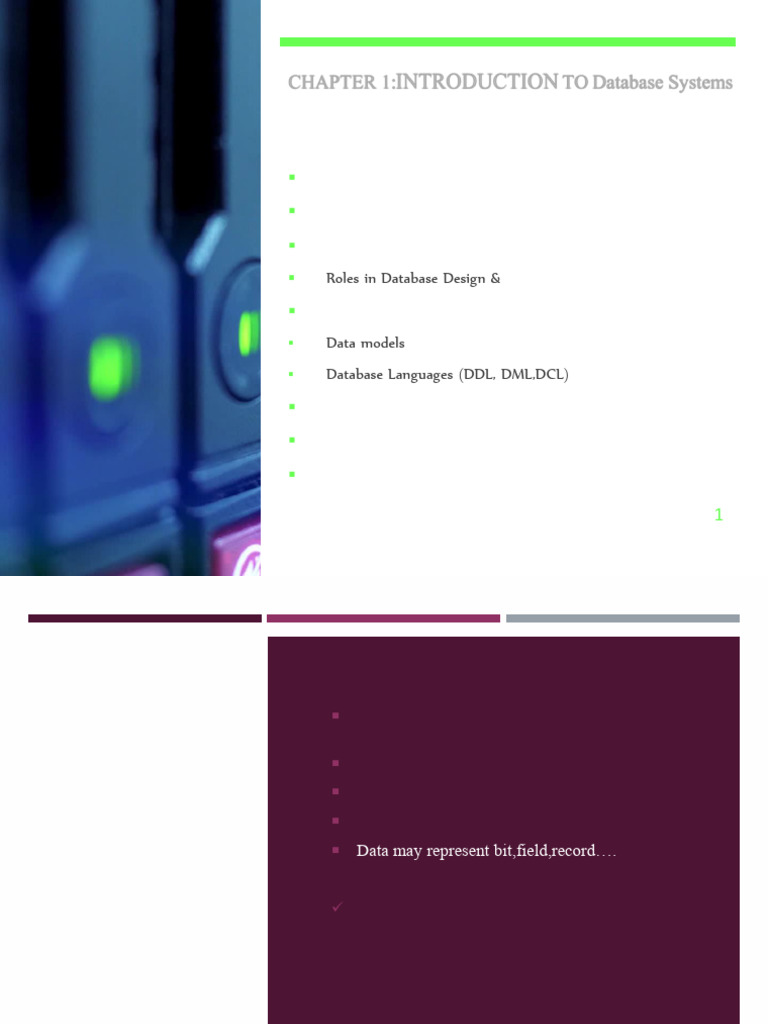 Chapter 1 Introduction to Database Systems | PDF | Databases | Data Model