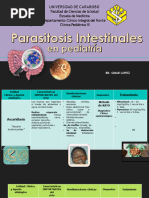 Crepitos | PDF | Pulmón | Neumología