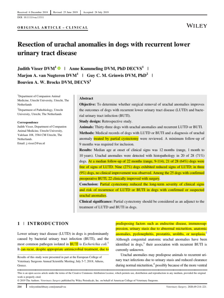 Resection of urachal anomalies in dogs with recurrent lower urinary ...