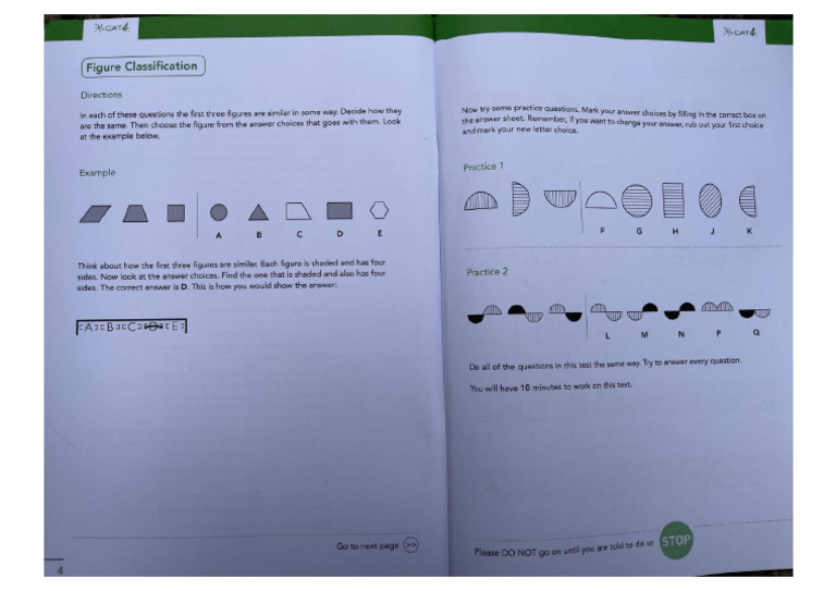 CAT 4 Figure Classification Sample | PDF