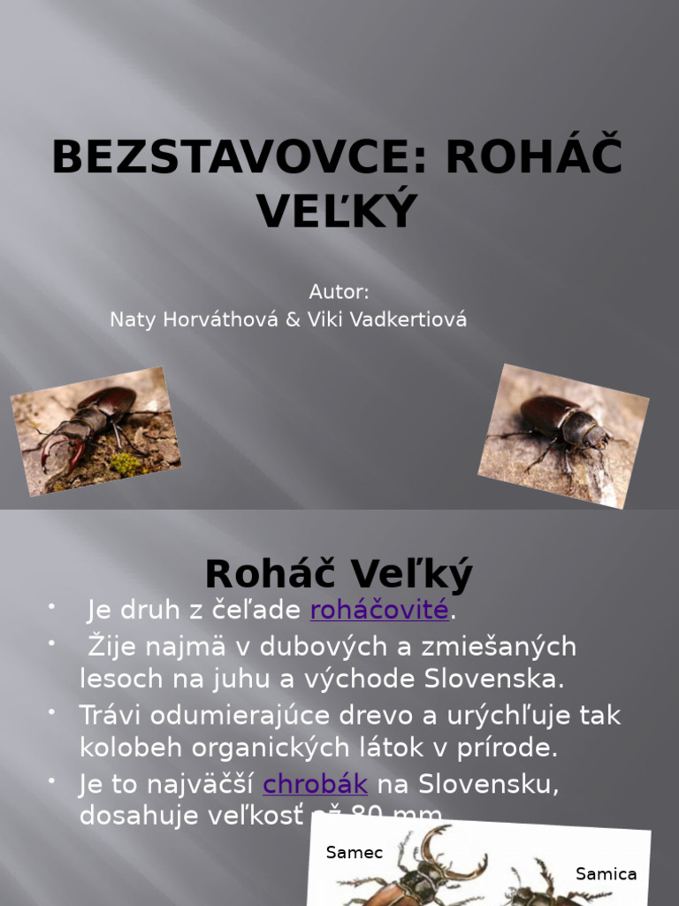 Biológia - Bezstavovce | PDF