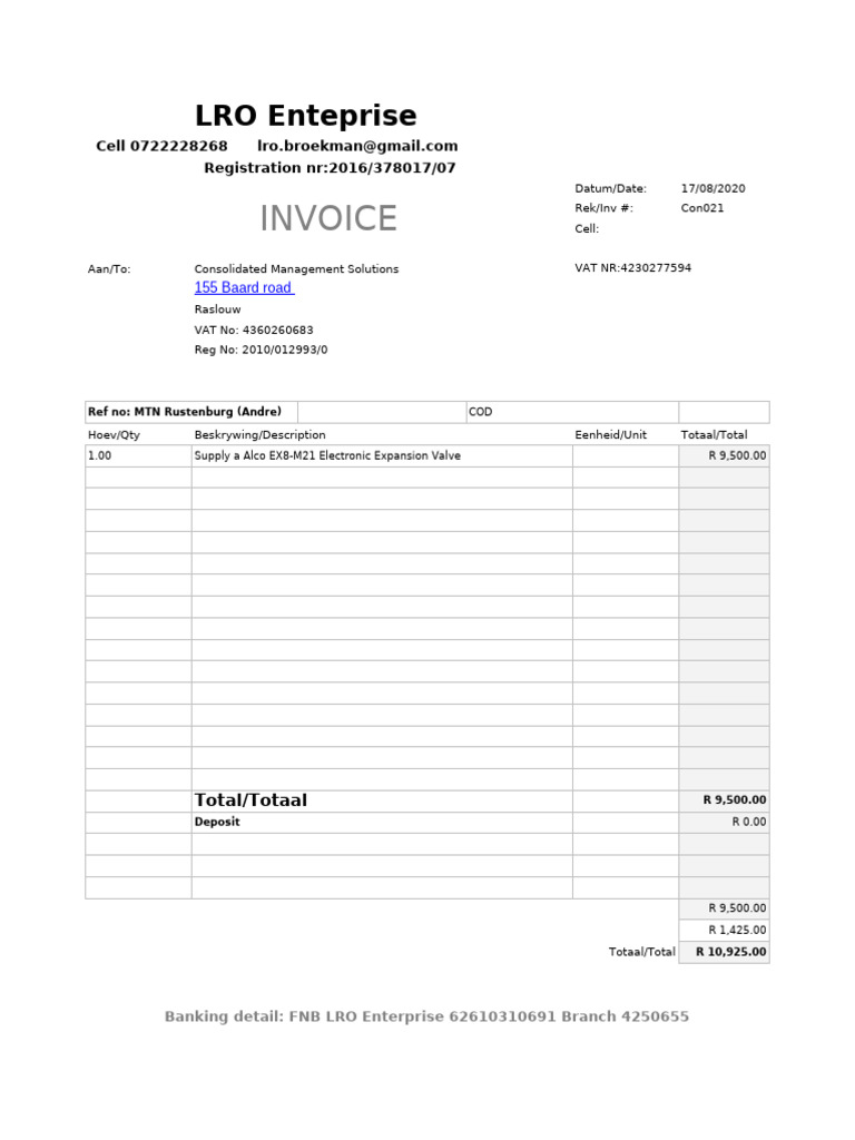 CMS Invoice | PDF