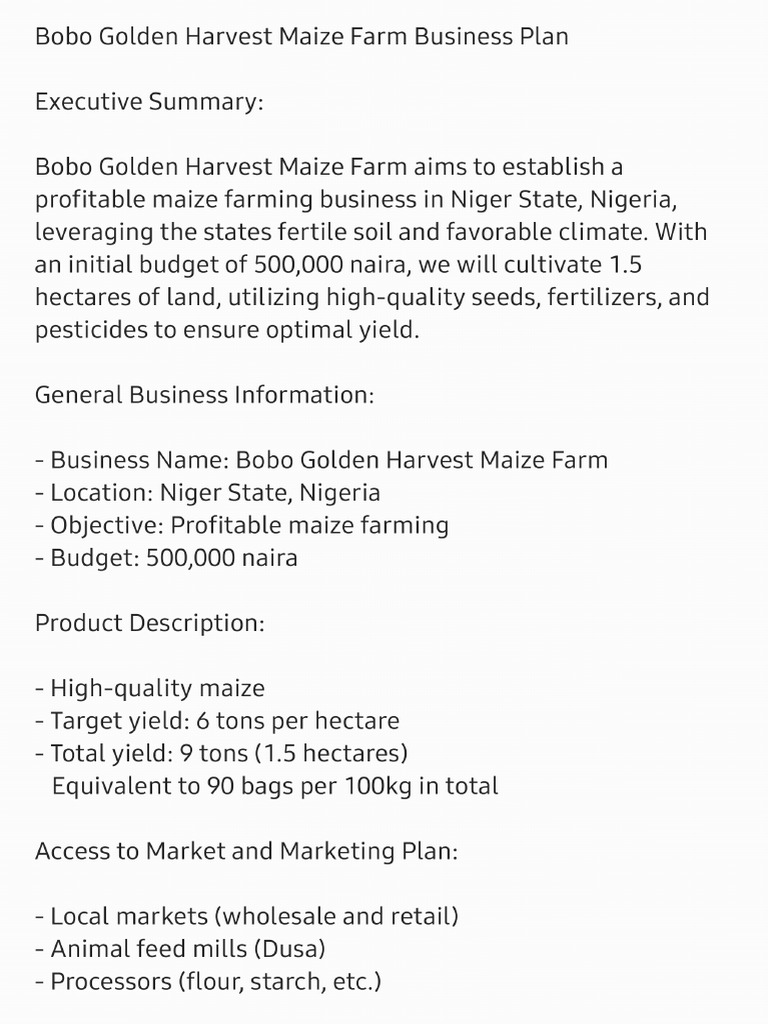 Maize Business Plan | PDF