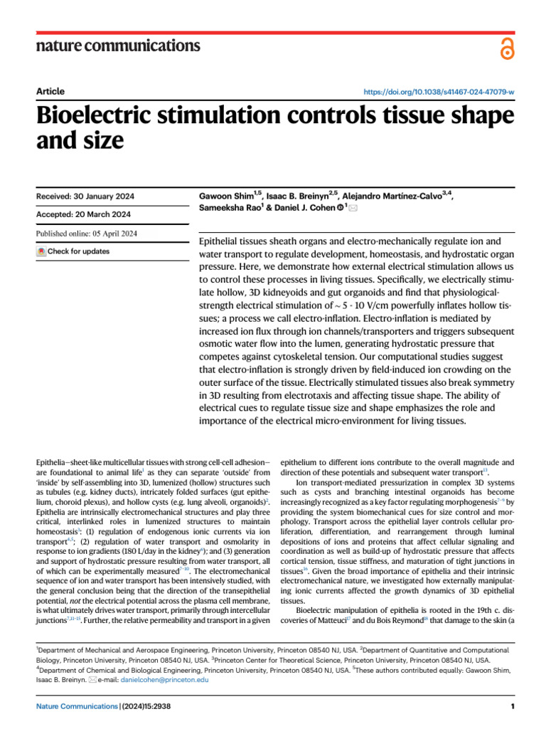 Bioelectric stimulation controls tissue shape and size | PDF ...