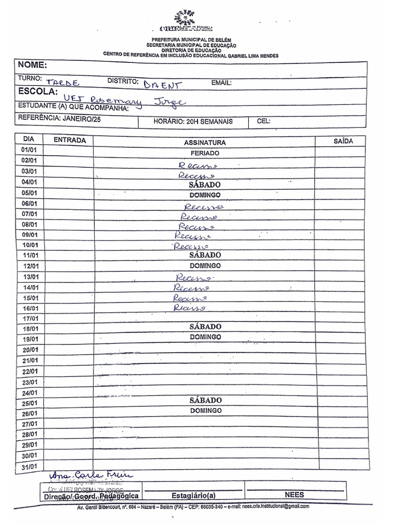 Pasta Padrão 20250130 | PDF