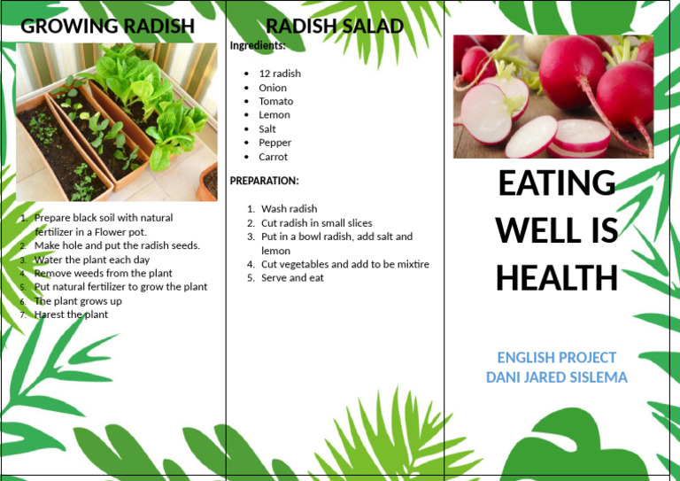 Triptico Radish | PDF