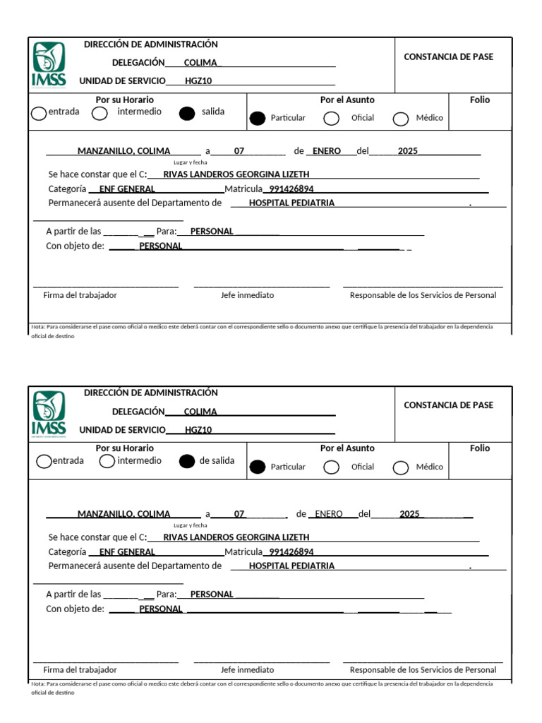 PASE de Salida | PDF