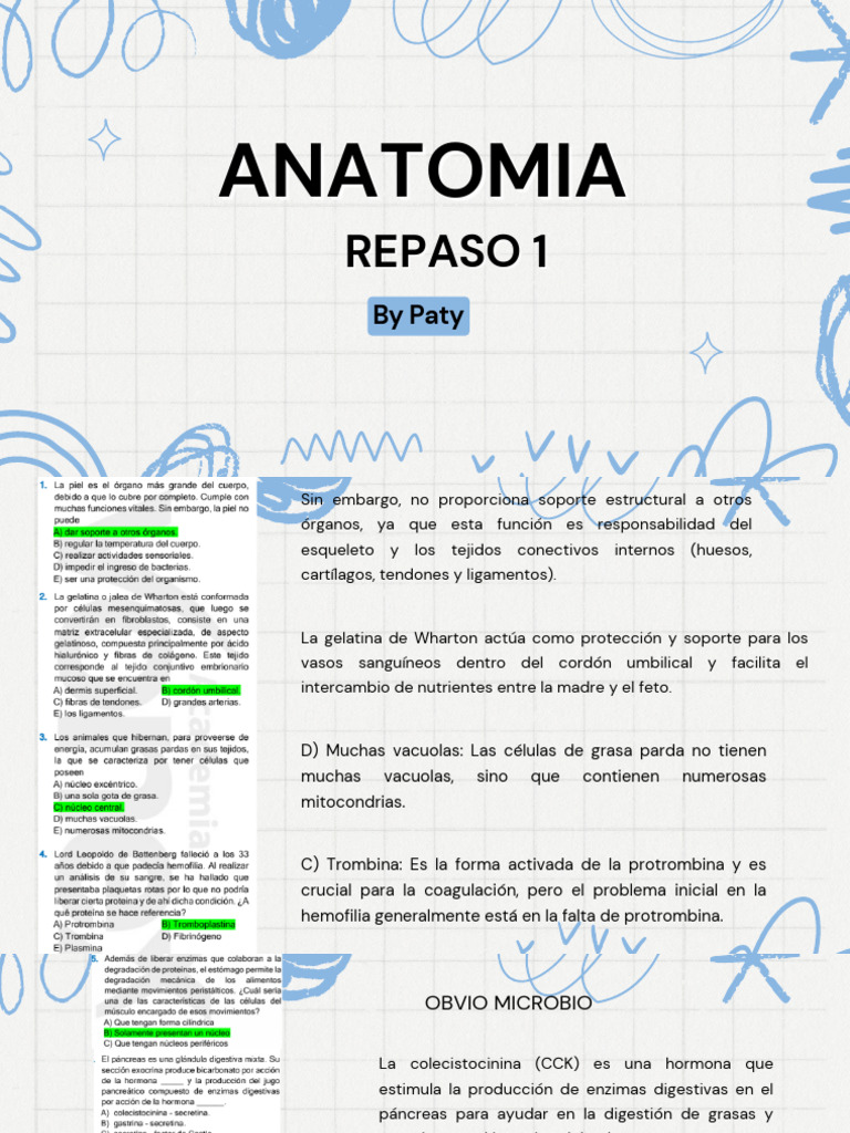 Homework Anatomia - Repaso 1 | PDF