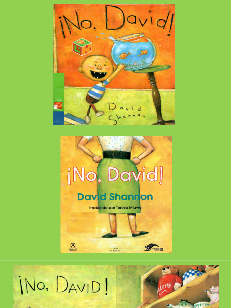 ¡No, David! | PDF